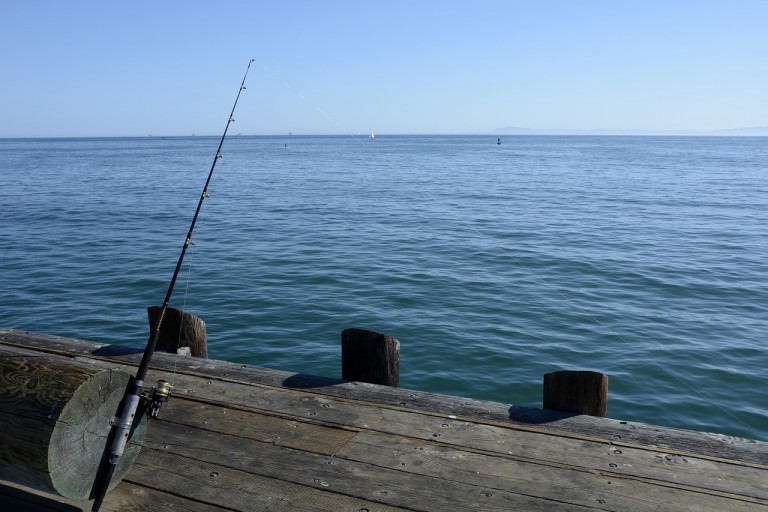 Les techniques de pêche en mer les plus courantes